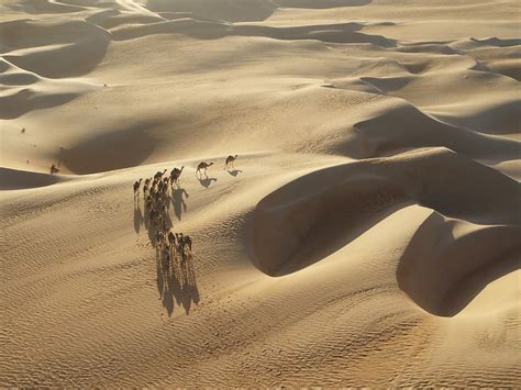 로열티 프리 비디오 스톡 영상 Hd 비디오 루프 및 클립 Adobe Stock