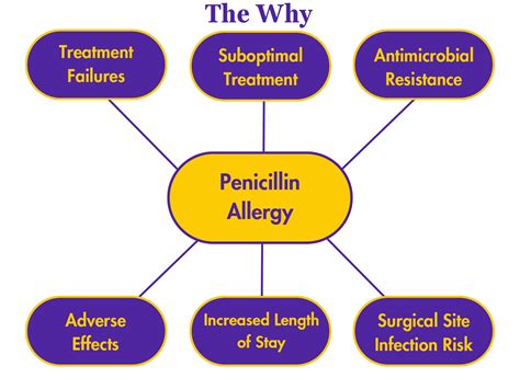 Home Pen Allergy