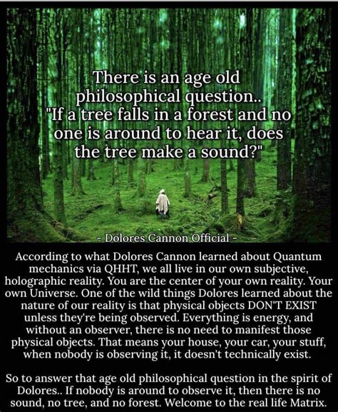 Pin By Bonnie Maxwell On Dolores Cannon Everything Is Energy Quantum