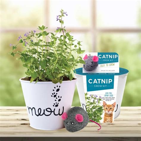Garden State Bulb Catnip Herb Grow Kit With Mouse Toy 2 Pack Ech 18 02 01 The Home Depot