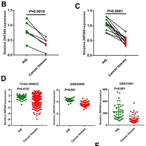 The Top Methylated Dna Markers Mdms Associated With Lymph Node Download Scientific Diagram