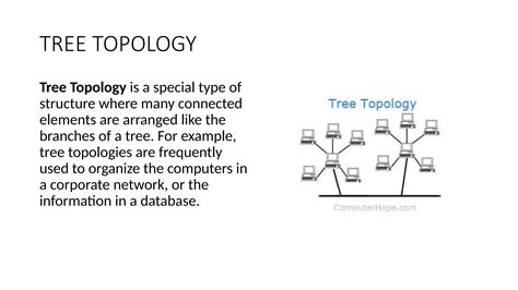 495638763 computer network topology ppt for thursday pptx