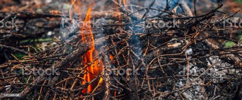 불을 붙이면 나뭇가지와 브러시우드를 굽습니다 캠프 파이어와 푸른 연기의 오렌지 불꽃과 분위기 따뜻한 배경 모닥불의 아름다운 풀 프레임 이미지 장작이 생생한 불길에 타버린다