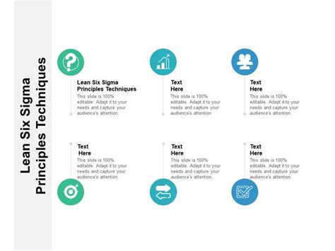 Lean Six Sigma Principles Techniques Ppt Powerpoint Presentation Model