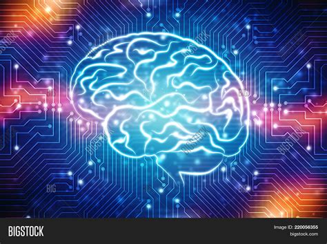 Human Brain 2d Image Photo Free Trial Bigstock