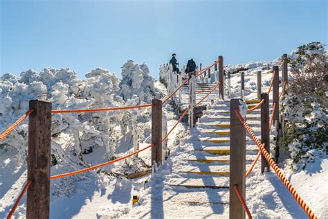 등린이를 위한 한라산 겨울 산행 가이드