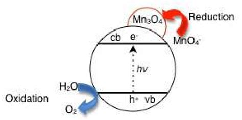 Scheme Showing The Simultaneous Photocatalytic Reduction Of