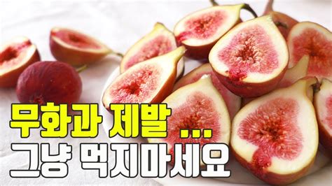 무화과의 모든것 이것만 숙지하세요 먹는법 보관 씻는법 효능 Youtube 무화과의 모든것 이것만 숙지하세요 먹는법 보관 씻는법 효능 Youtube