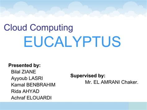 Eucalyptus Presentation Lsi Cloud Computing Ppt Cloud Computing Internet