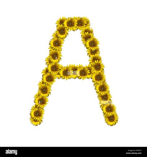 Letra R Girassol Png Best Succulent Ideas