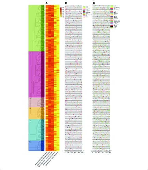 Prediction Of Cis Acting Elements In The Promoter Sequences Of Ntpod