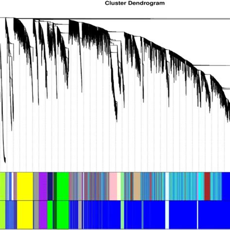 Clustering Dendrograms Of 20203 Genes Dissimilarity Was Based On Download Scientific Diagram