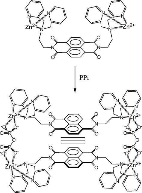 Binding Pyrophosphate Ppi In A 2 2 Ratio With The Ndi Yields A Download Scientific Diagram