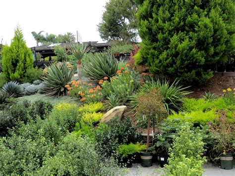 Late To The Garden Party Nursery Visit Rogers Gardens