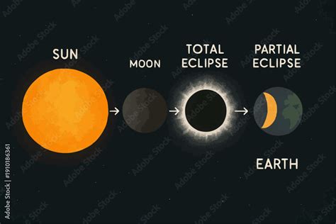 Solar And Lunar Eclipse Diagram With Sun Moon Earth Alignment Vector