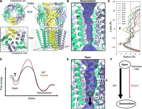 Can Advanced Simulation Methods Predict Experimentally Unseen Structural States Of The Elusive