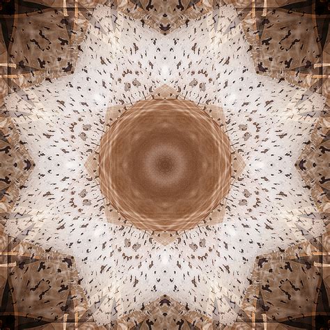 Formless Form Behance