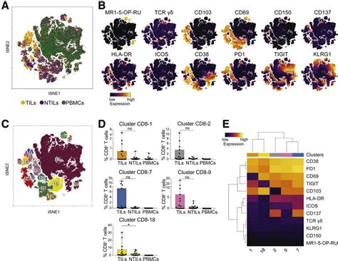 Cd38 D Pd1 D Cd8 D T Cells Are Enriched In Tils A Tsne Map Of Cd8 þ Download Scientific
