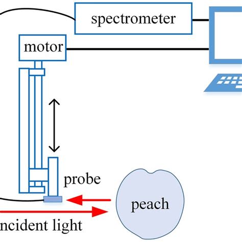Schematic Of The Setup For The Spatially Resolved Diffuse Reflectance Download Scientific