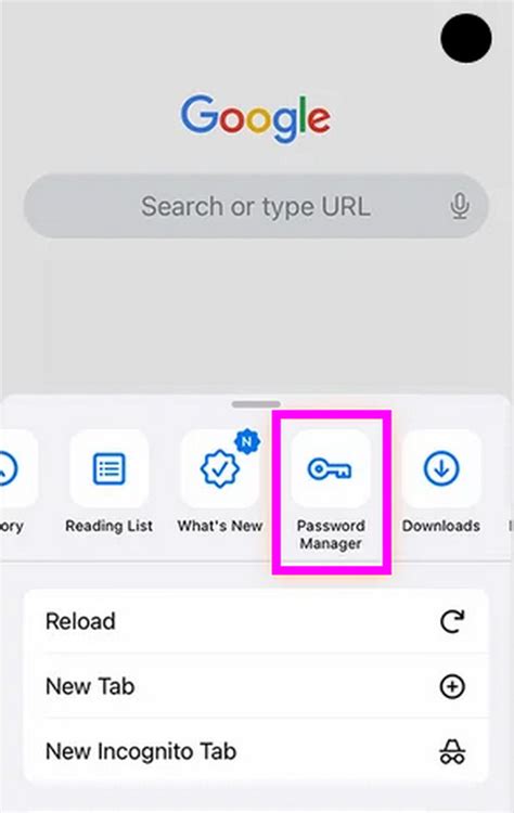 How To See Your Apple Id Password Professional Guide