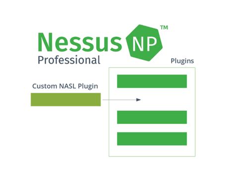 Adding Custom Nasl Plugins To Tenable Nessus Alexander V Leonov