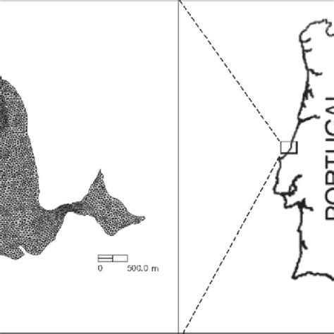 Location And Lagoon Finite Element Grid Download Scientific Diagram