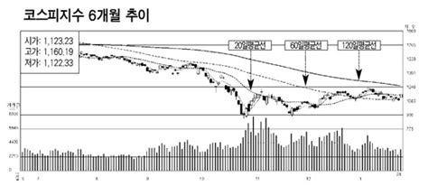 코스피 시황 우리금융 등 금융주 폭등세 서울경제