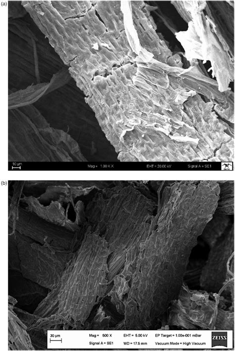 Surface Features Of Biosorbent Material A Before And B After