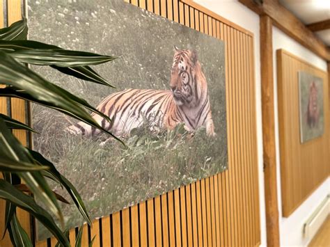 Morten Simonsen Posted On Linkedin