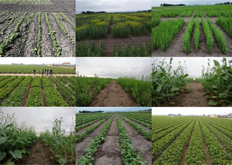 230404333 Agronav Autonomous Navigation Framework For Agricultural Robots And Vehicles Using