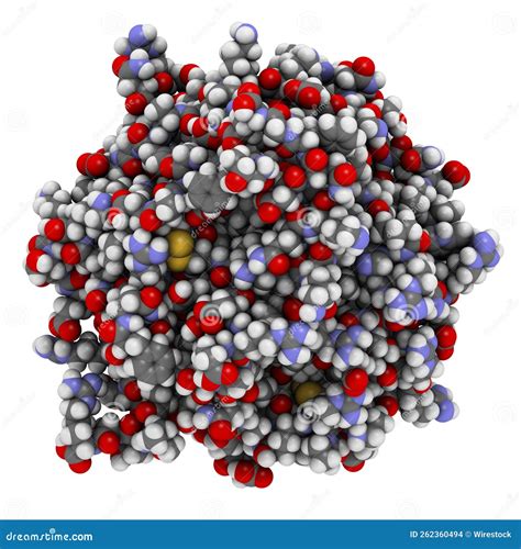 Thrombin Stock Illustrations 186 Thrombin Stock Illustrations Vectors And Clipart Dreamstime