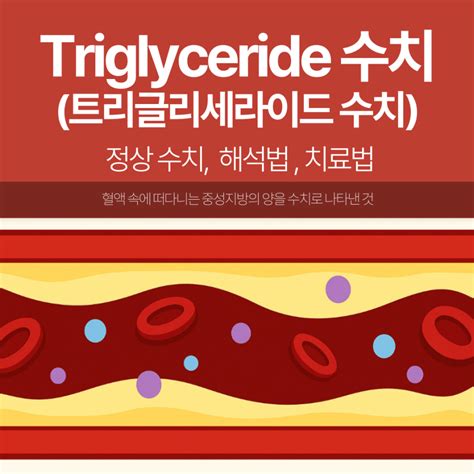 Triglyceride 수치 지질 트리글리세라이드 높으면 해석 관리법 네이버 블로그