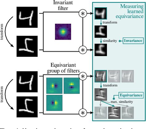 Figure 1 From What Affects Learned Equivariance In Deep Image