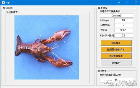 m基于深度学习网络的动物识别系统matlab仿真 带GUI界面 知乎