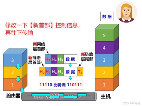 考研408《计算机网络》复习笔记，第一章 5 《计算机网络分层结构》 408计网考海明码吗 csdn博客