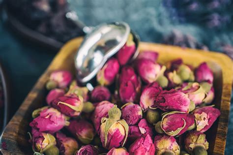 드라이 로즈 차 새싹 및 건조 하 고 히 비 스커 스 설탕에서 건조 운에서 중국 차입니다 Bi 오 천 공간 복사 구도에 대한 스톡 사진 및 기타 이미지 Istock