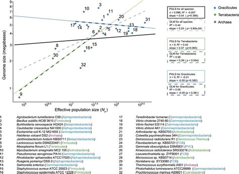 No Scaling Relationship Was Found Between The Logarithmically Download Scientific Diagram