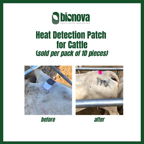 Heat Detection Patch For Cattle Pack Of 10 Lazada Ph