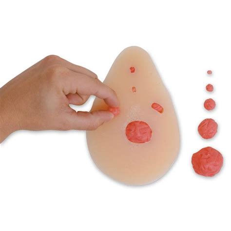 Breast Model With 5 Interchangeable Nodules Medline