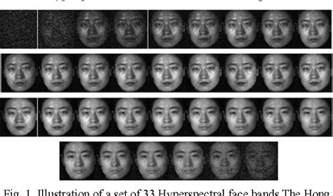 Figure 1 From Hyperspectral Face Recognition Using 3d Discrete Wavelet