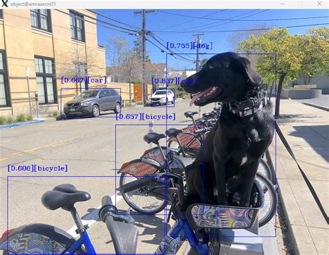 openvino™ object detection tutorial — documentation