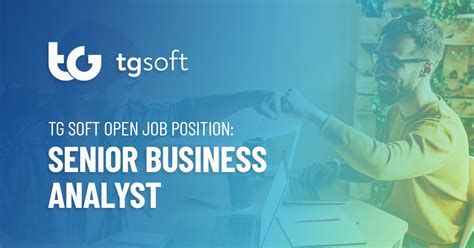 Senior Business Analyst Tg Soft