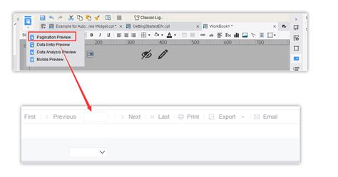 parameter panel overview finereport help document