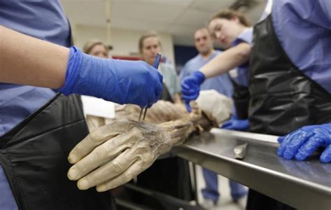 Doctors In Training Still Learn From Cadavers