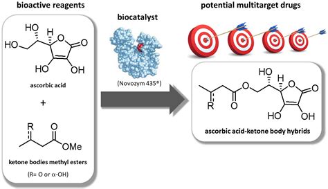 Enzymatic Synthesis Of Ascorbic Acid Ketone Body Hybrids