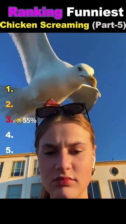 Ranking Funniest Chicken Screaming😭😭 Youtube