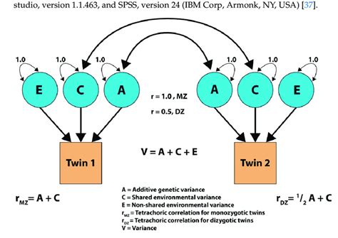 Graphical Explanation Of The Ace Statistical Model Download