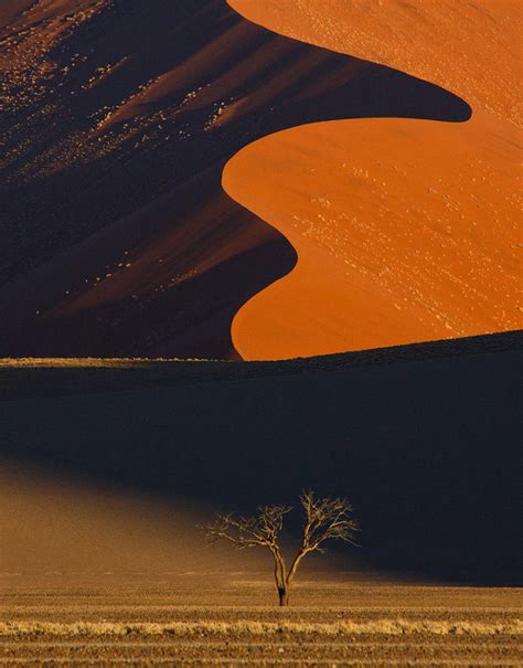 Line As A Compositional Element Christoph Fischer