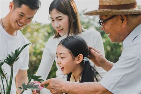 Dengue Emerging Pathogens Institute University Of Florida