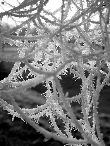 Cobweb Patterns Cobweb Pattern Spider Web